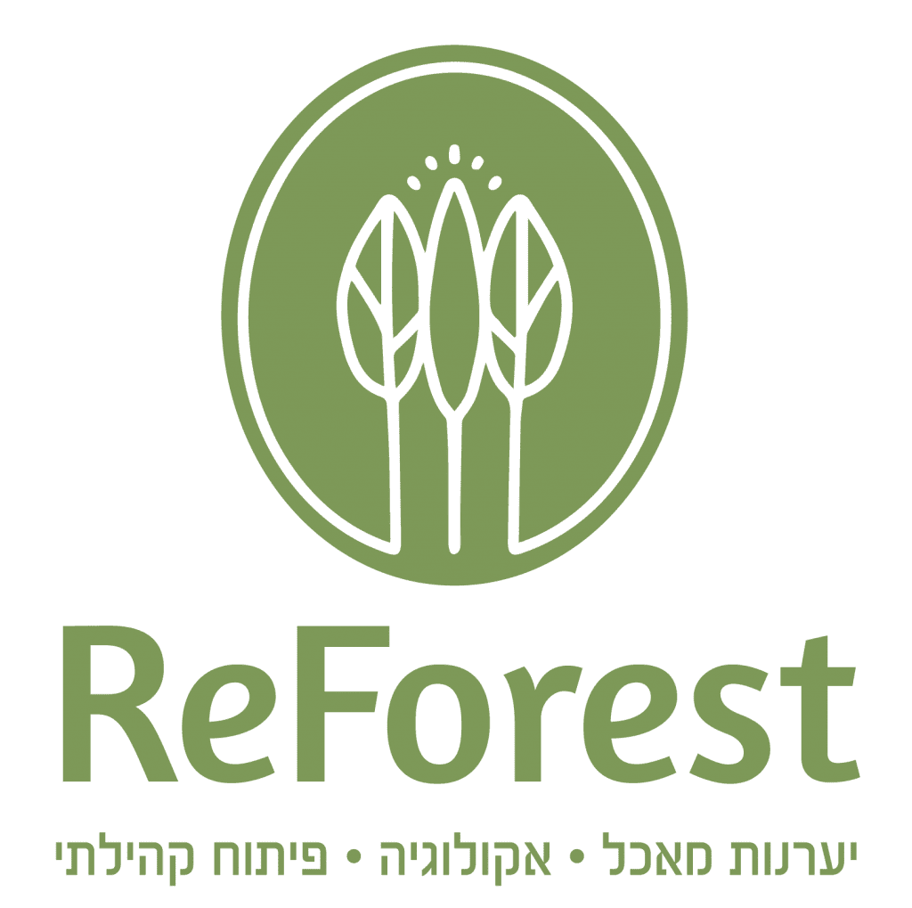 Deidra 2.0 - דידרה | Deidra